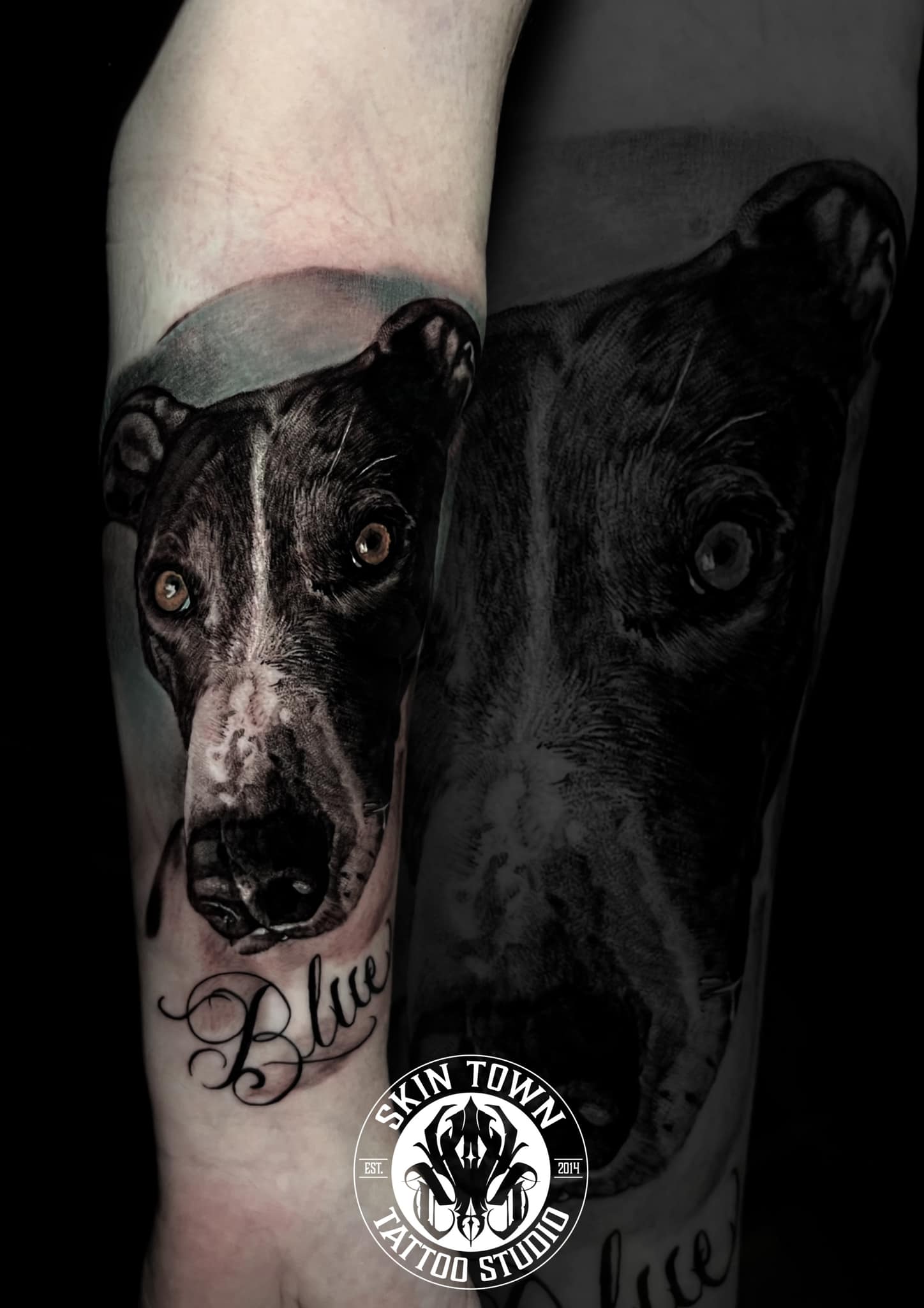 Skin Town Tattoo Studio - TattoosNI